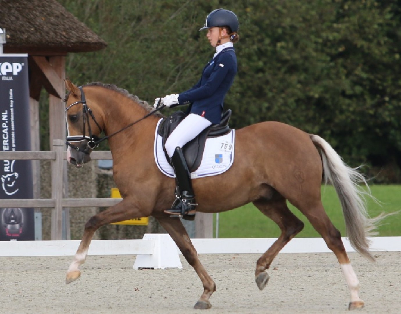 Geslaagde Nederlandse dressuurtop tweedaagse in de HJC Manege Tolbert ...