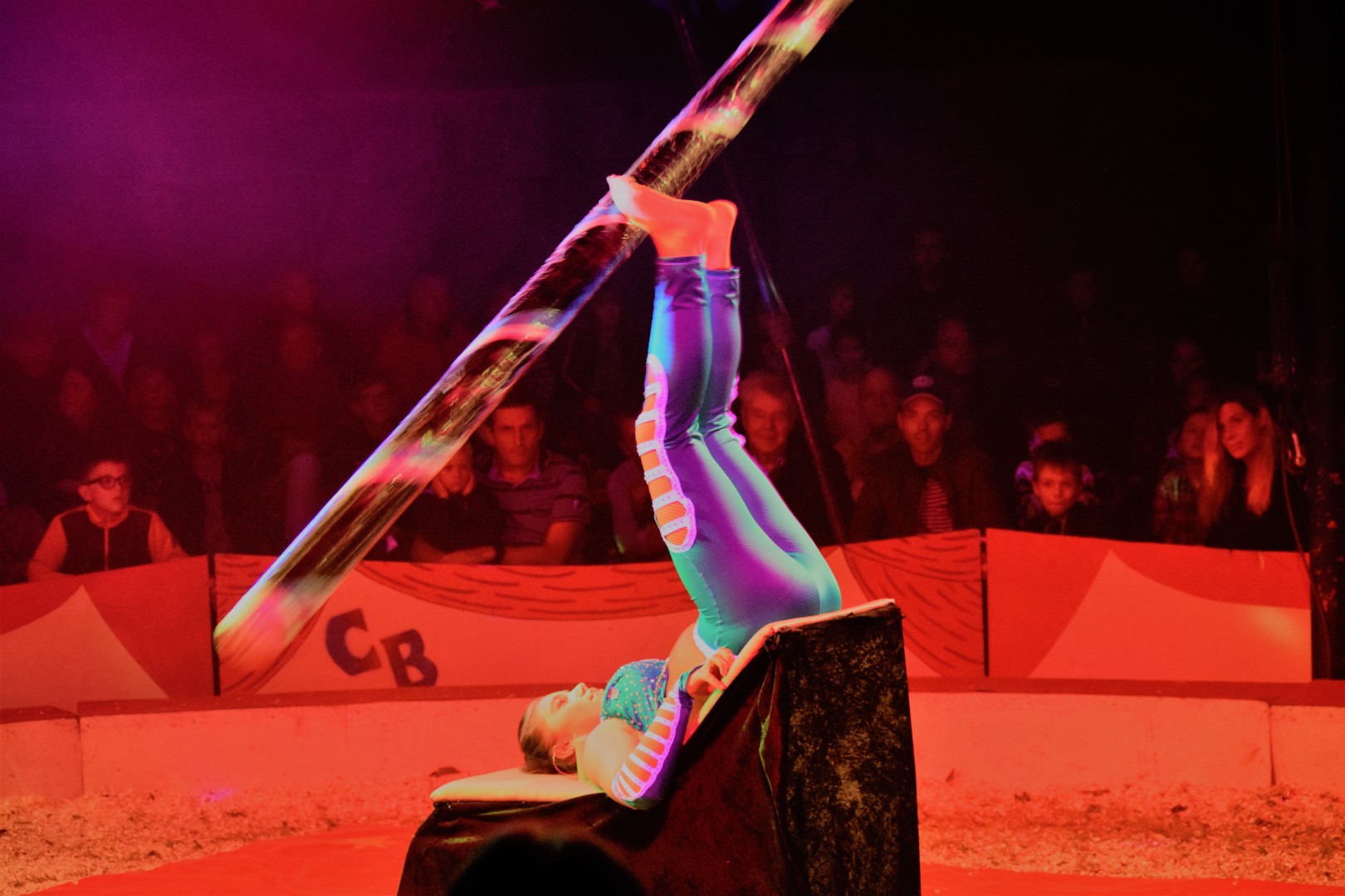 Circus Bossle wegens groot succes terug in Leek | InfoLeek