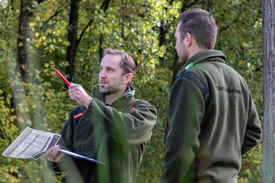 Staatbosbeheer zoekt boswachter voor in het Westerkwartier | InfoLeek