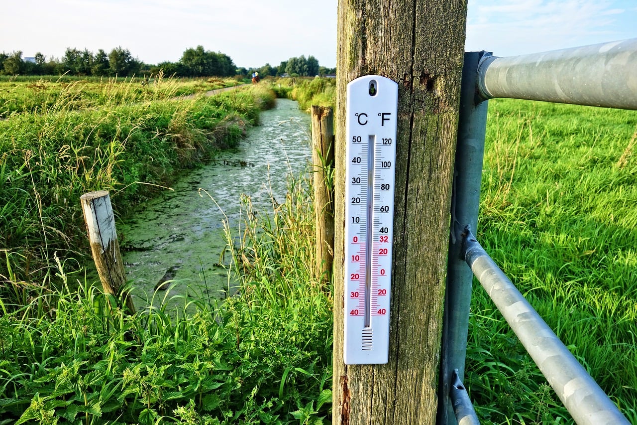 GGD waarschuwt: Pas op met kwik, breng barometers en thermometers weg ...