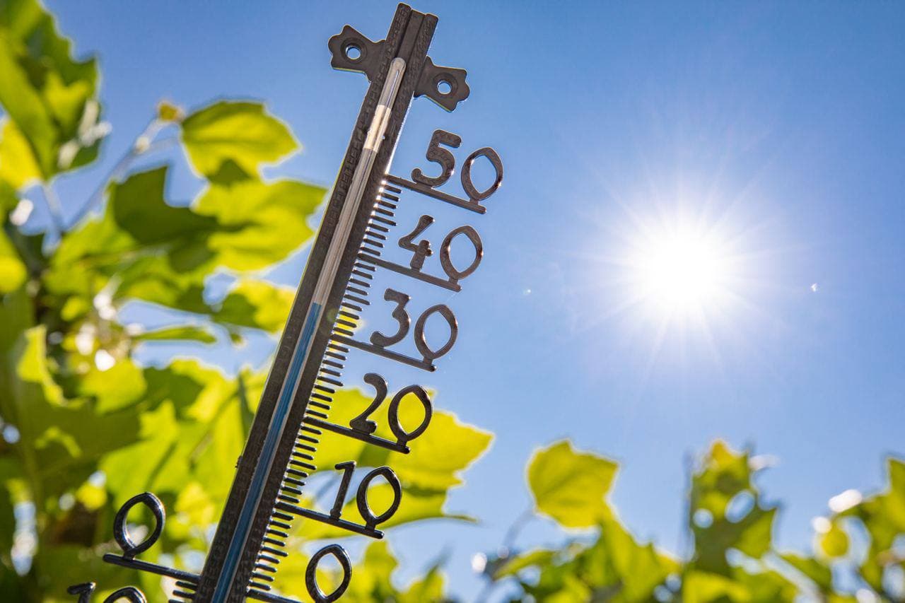 Meteorologische herfst van start met deze week zomerse temperaturen en ...